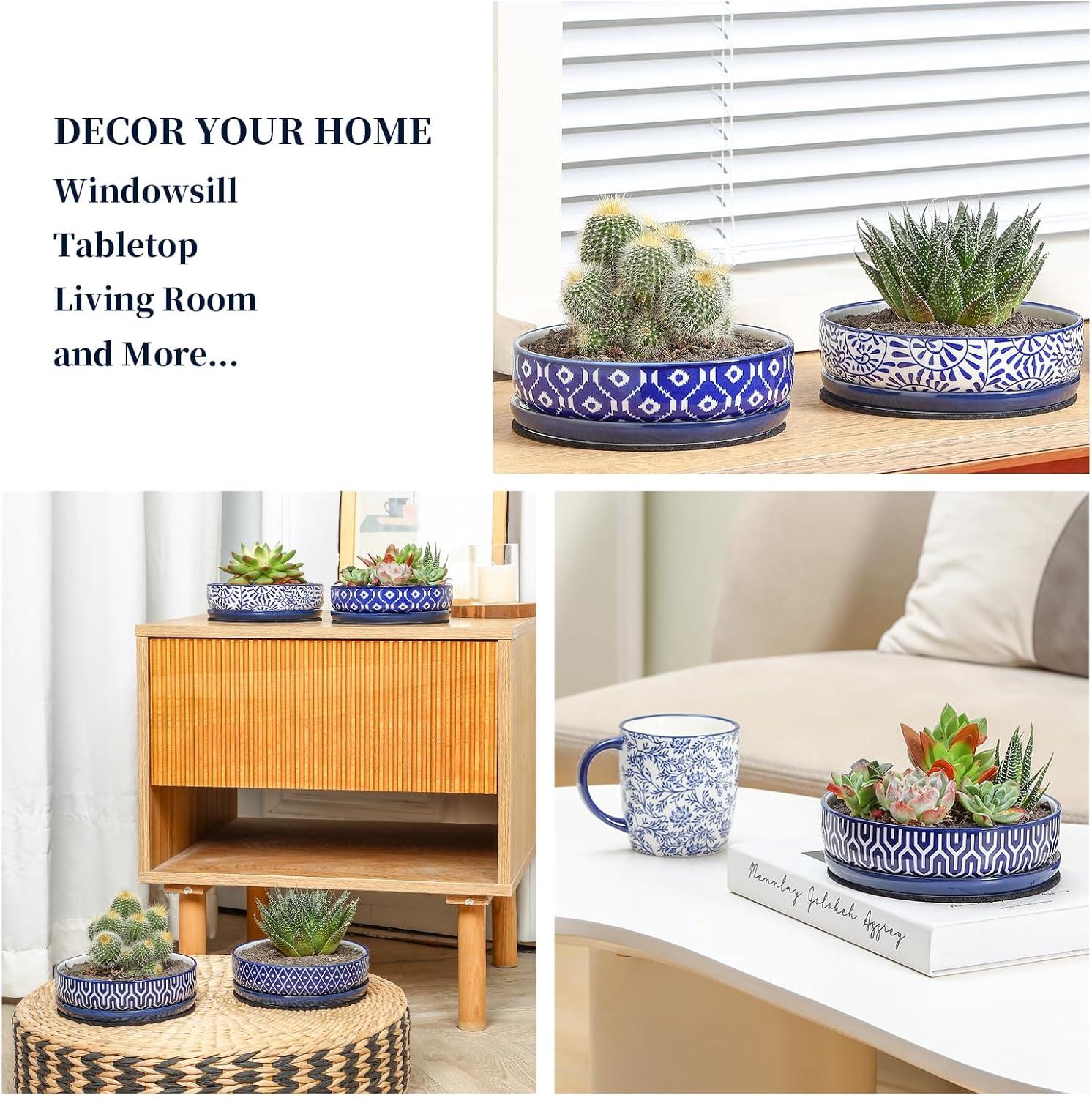 Selamica Ceramic Succulent Pots, 6 Inch Shallow Succulent Planters with ...